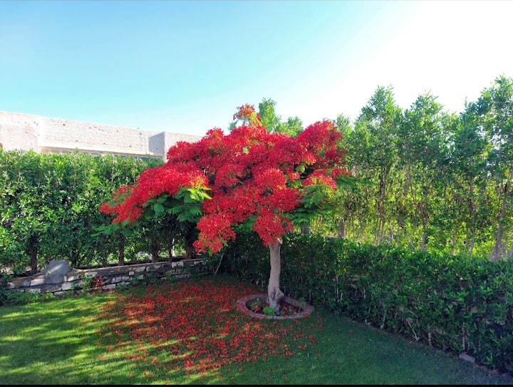 Welcome To " Zekry's Beach House" - North Coast