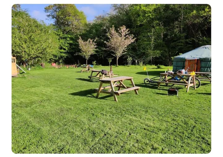 Autumn Yurt Escape - Staithes