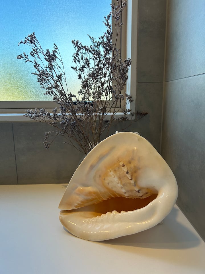 Cricket.walk 15mins To Blake Park 5mins To Beach - Mount Maunganui