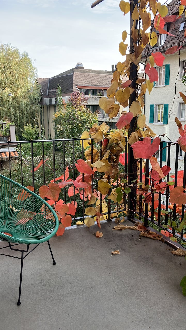 Cozy Apartment With Balcony Close To Bern Centre - Bern