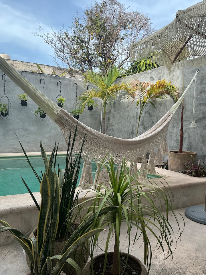 Suite W/ Private Pool · Paseo De Montejo - Merida
