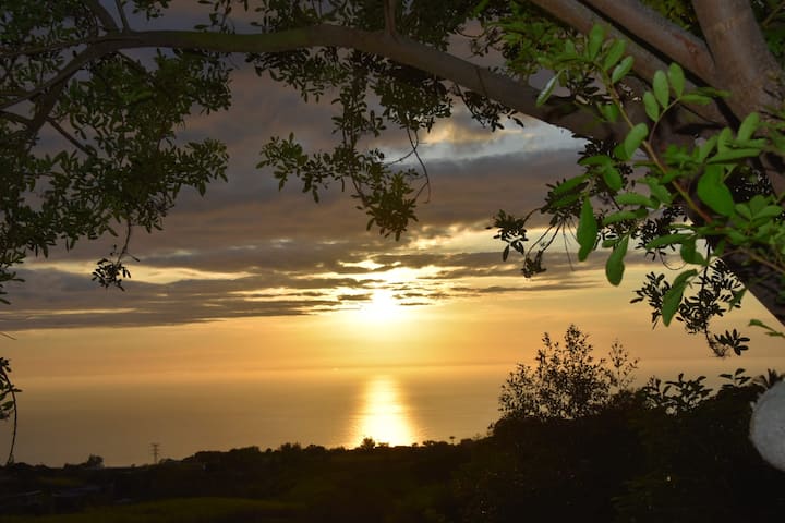 Les O'zabris 'Le Ptitzabris" - Reunión