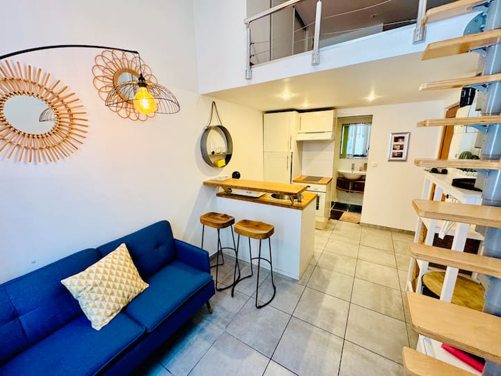 Ravissant Studio En Plein Centre De Marseille - Musée des Beaux-Arts de Marseille