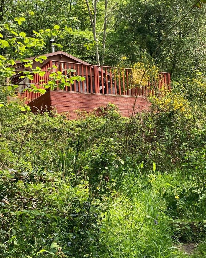 Whitby Woodland Romantic Luxury Log Cabin - Yorkshire