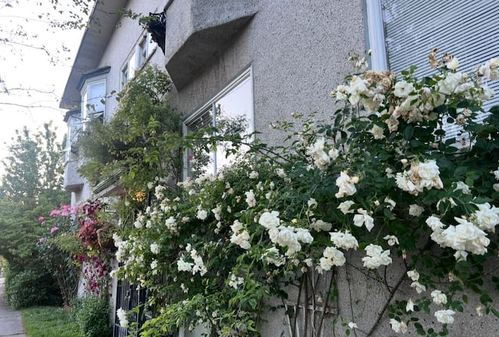 10 Minute Train To Soccer Stadium+free Park - Vancouver