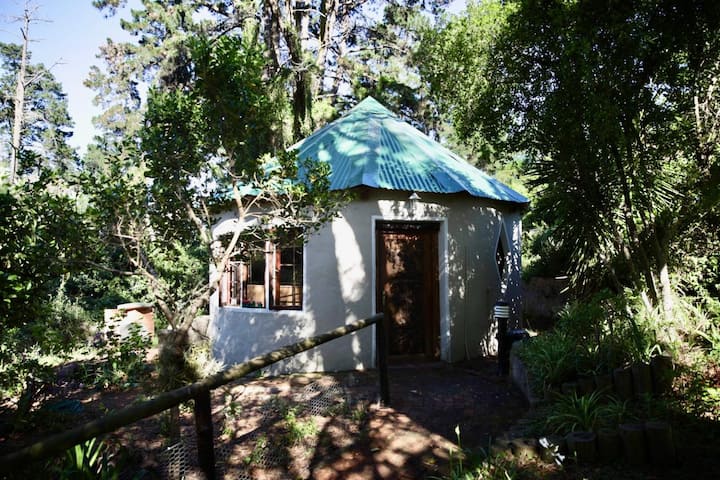 The Rondi “10 Min From Wild Oats Market Wilderness - Wilderness