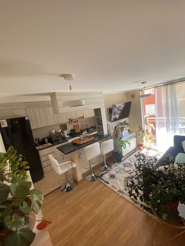 Departamento Full Equipo - Villarrica