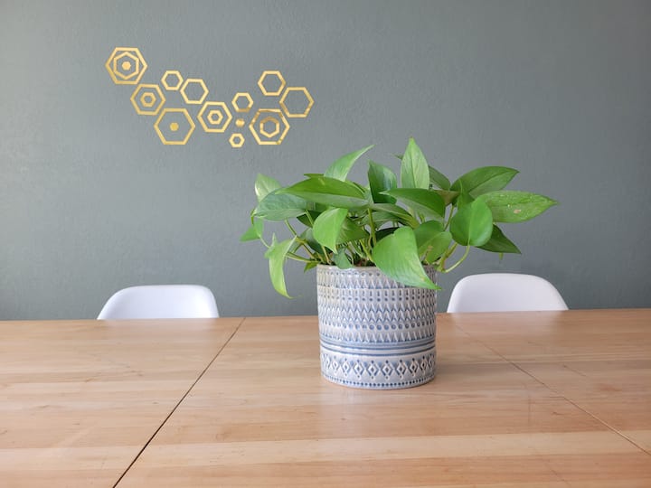 New Cozy Guest Suite + 2 Baths + Full Kitchen - Fallbrook, CA