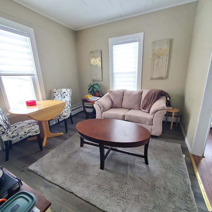 Cozy Studio, Historic Downtown, Pet Friendly - Skaneateles, NY