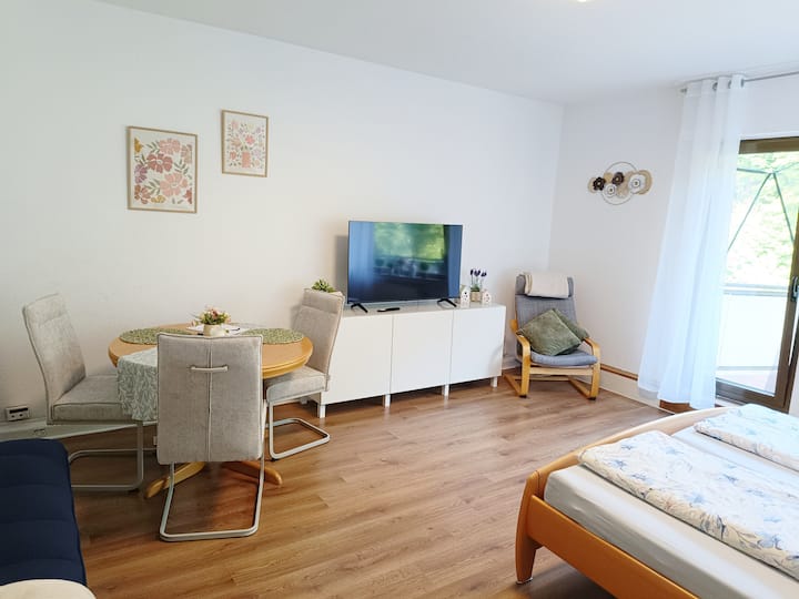 Helle Wohnung Mit Balkon (Stressfrei) - Hagen
