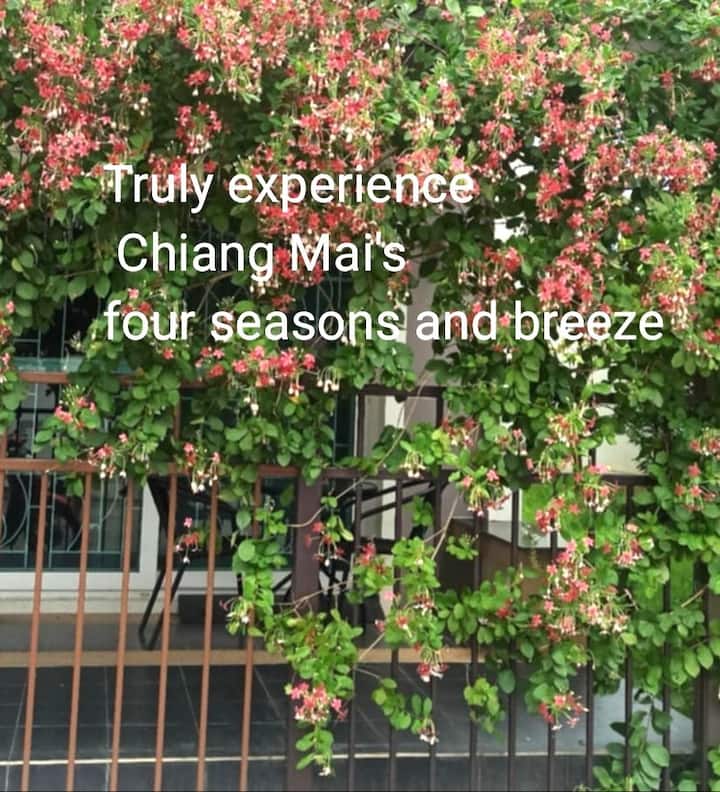 獨享雙客廳花園別墅,7-11旁,長住折扣,免費機車,近big C 購物中心,古城和機場,家庭旅行首選 - Hang Dong