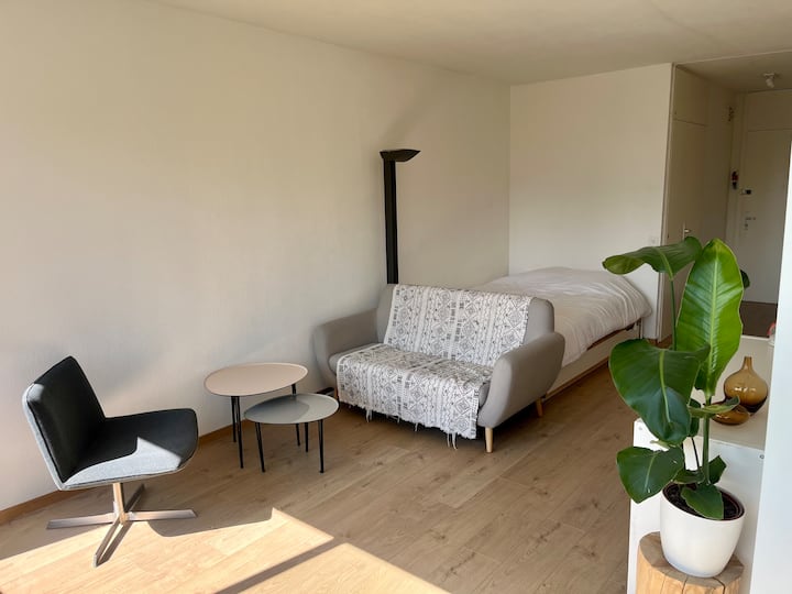 Mini Loft - Lausanne