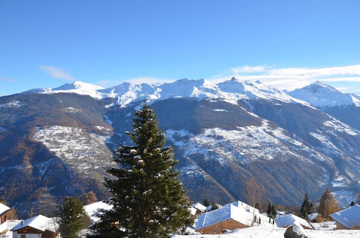 Belvédère 82 B - Sion
