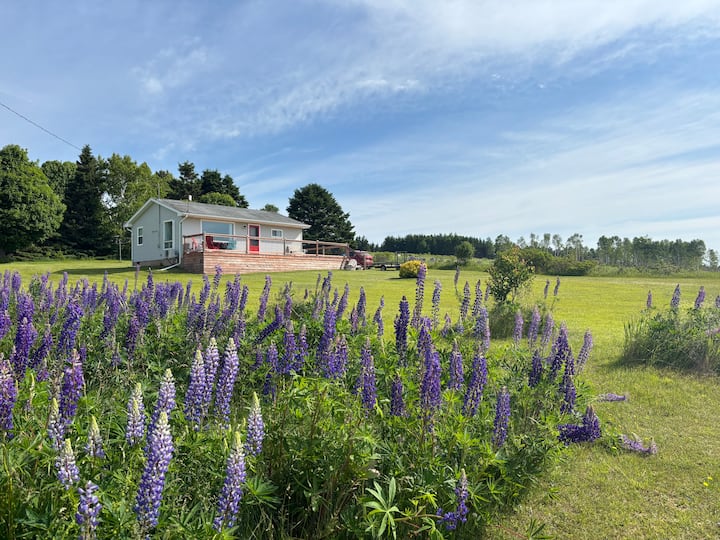Pei Cottage On Scenic South Shore Overlooking Sea - Île-du-Prince-Édouard