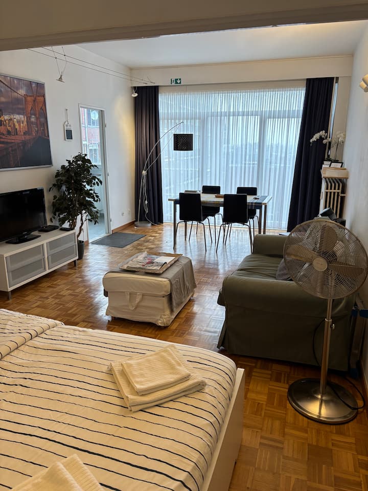 Studio Roosevelt - Centrum Antwerpen - Antwerpia