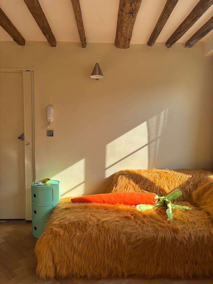 Studio De 20m2 Entièrement éQuipé - Rue Saint-Maur