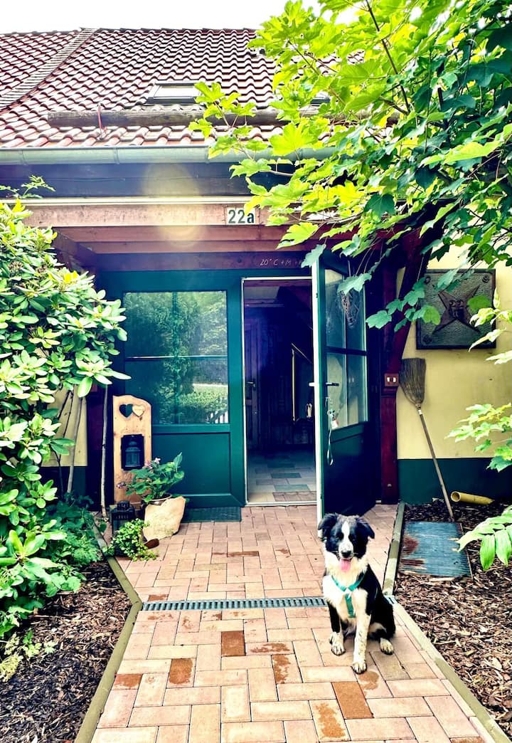 Ferienhaus Harzglück Mit Kleinem Bauernhof - Harz