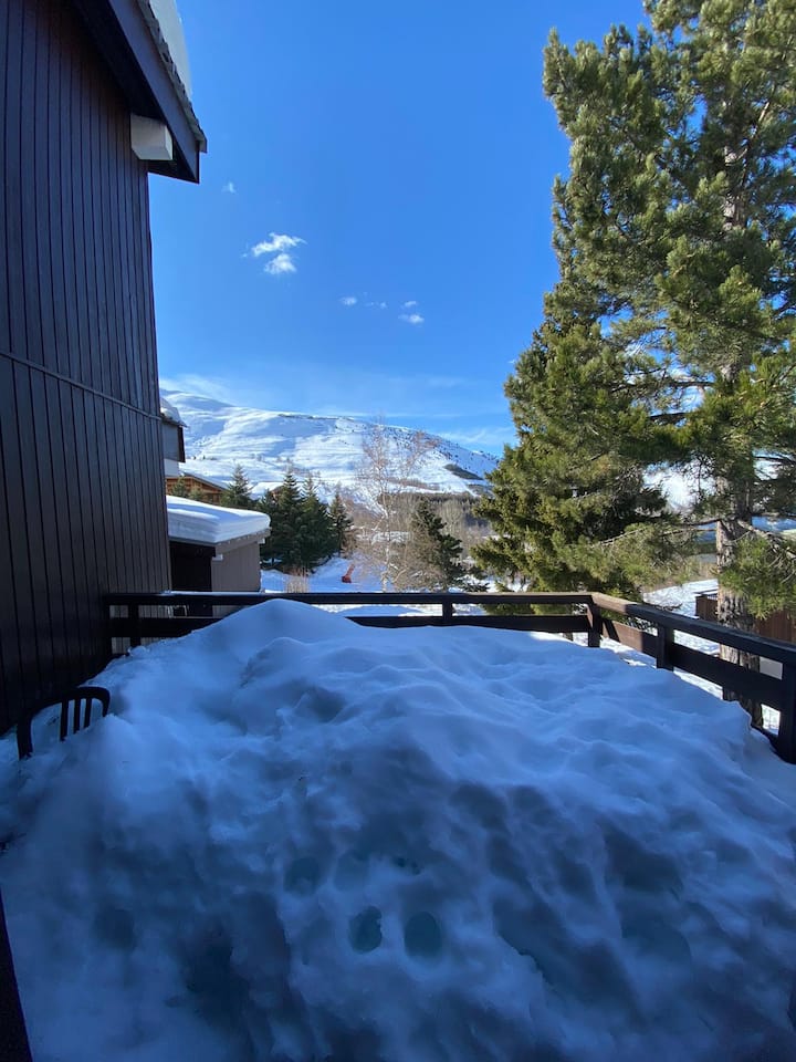 Bel Appartement Calme 40 M2- Skis Aux Pieds. - Auris