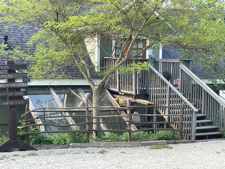 Gorgeous Property, Walk To Henry Cowell Park&town - Felton, CA