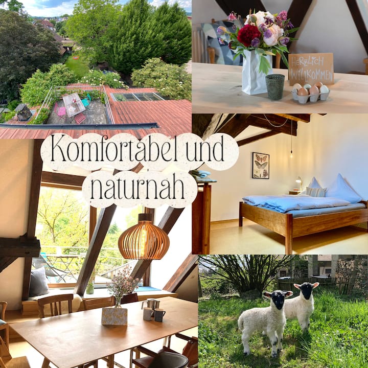 Naturnahes & Stilvolles Wohnen Im Alten Bauernhaus - Rheinfelden