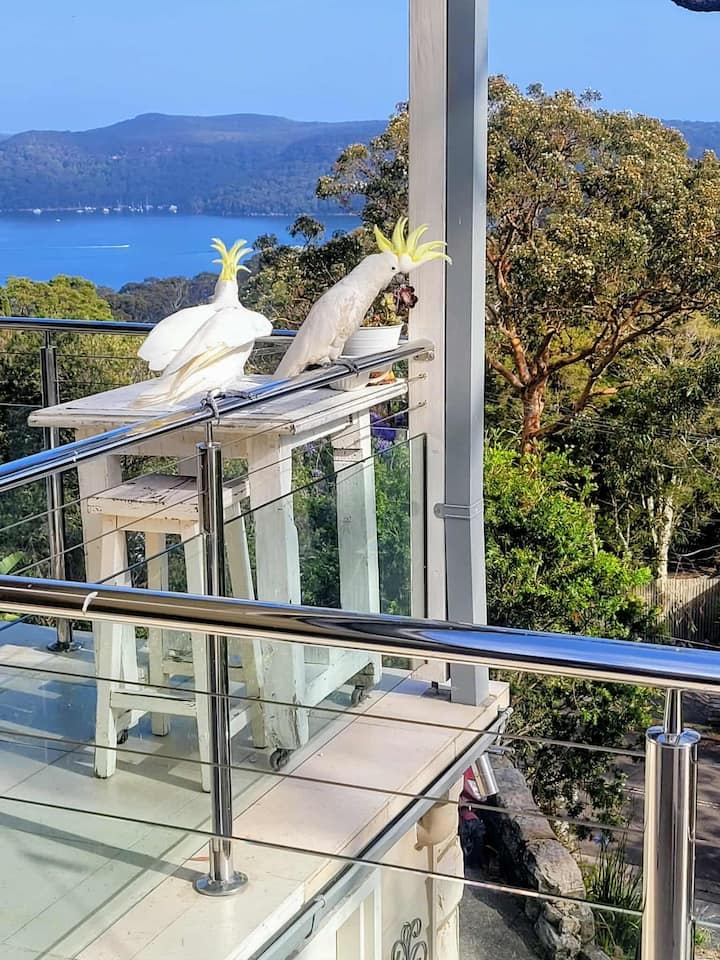 Birdsong On The Beaches Avalon Newport Bilgola - Narrabeen