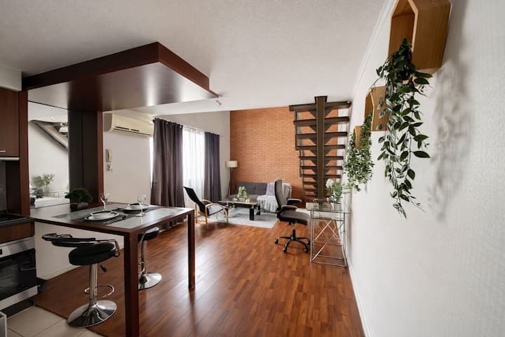 Loft Muy Amplio En Bellas Artes, Santiago Chile - Chile