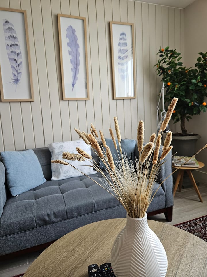 Un Departamento Lindo, Moderno Y Acogedor!!! - Puerto Varas