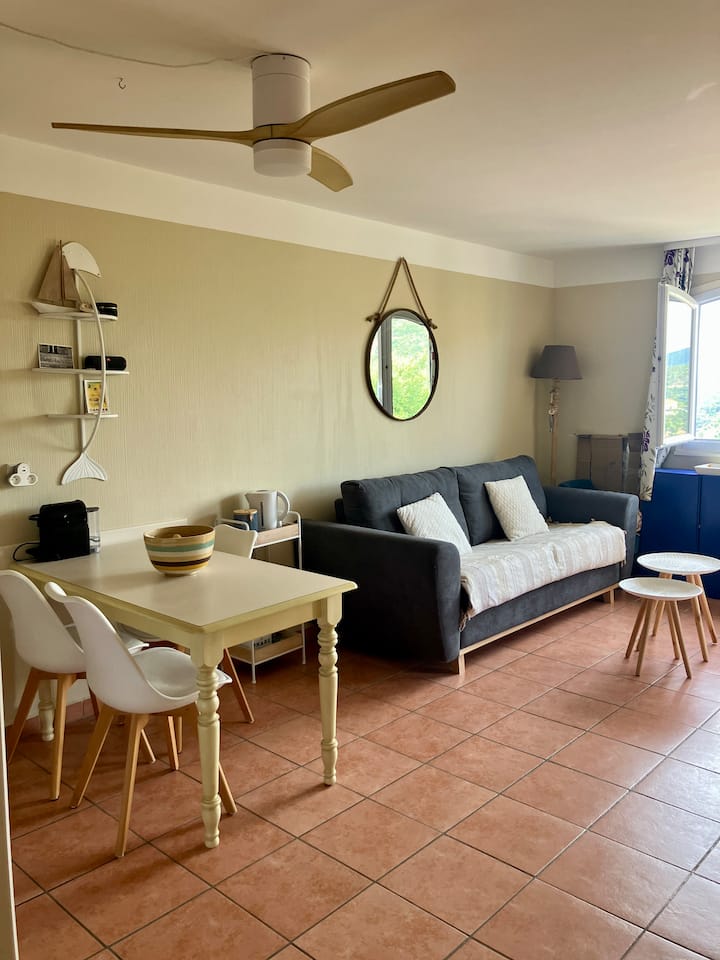 Coquet T2 éQuipé Vue Mer Aux Issambres - Les Issambres