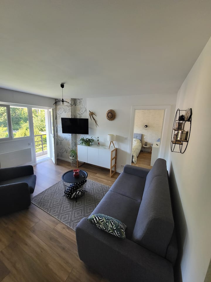 Appart Bord Du Lac Wifi - Gérardmer