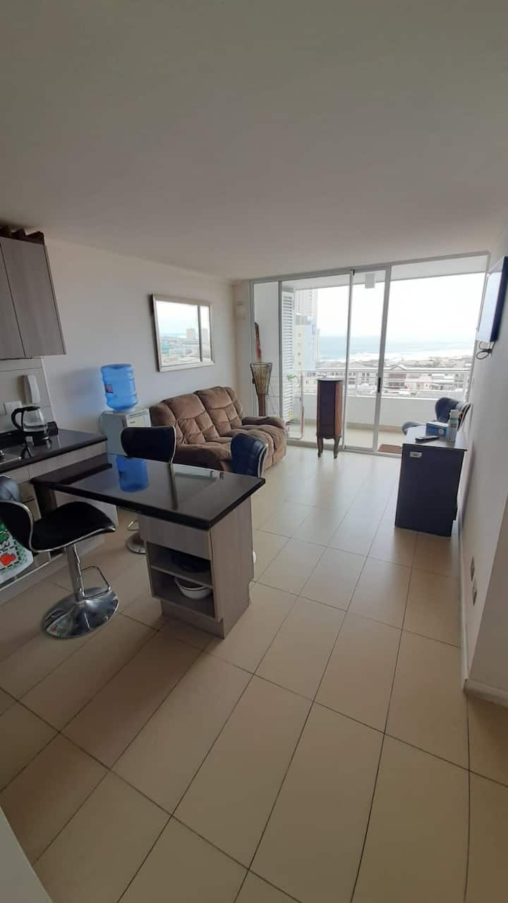 Hospedaje Iquique Rinosuites - Iquique