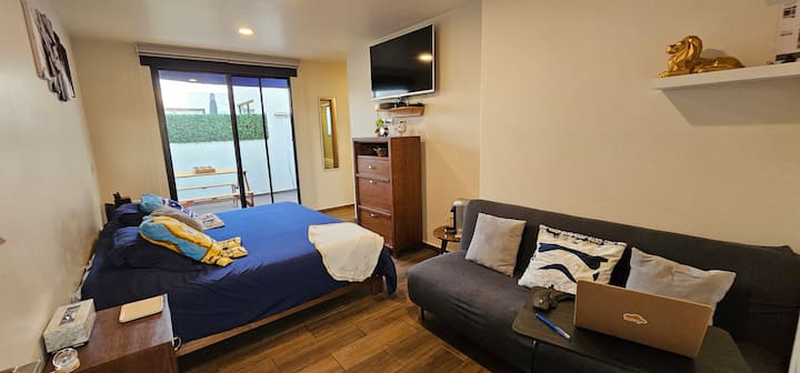 Suite Espaciosa Con Terraza - Mexico City