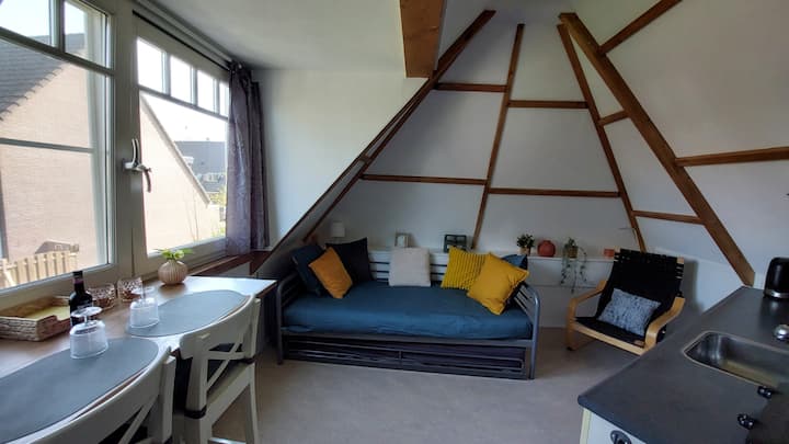 Own Kitchen, Furnished Room, Garden - Alkmaar