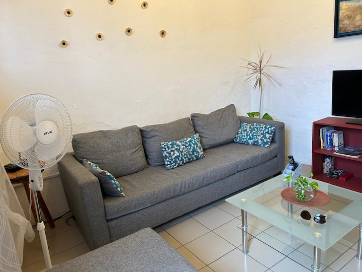 Dos Rec, Céntrico, Wifi 120, A.c. En 1 Rec, Patio - Oaxaca