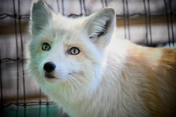 Duck Haven - Wildlife Sanctuary - 5 Miles To I75 - Simpson Lakes