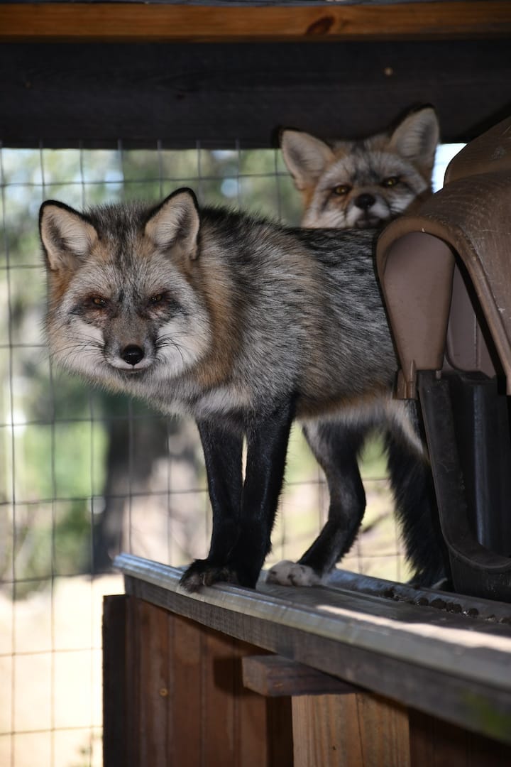 Duck Haven - Wildlife Sanctuary - 5 Miles To I75 - Simpson Lakes