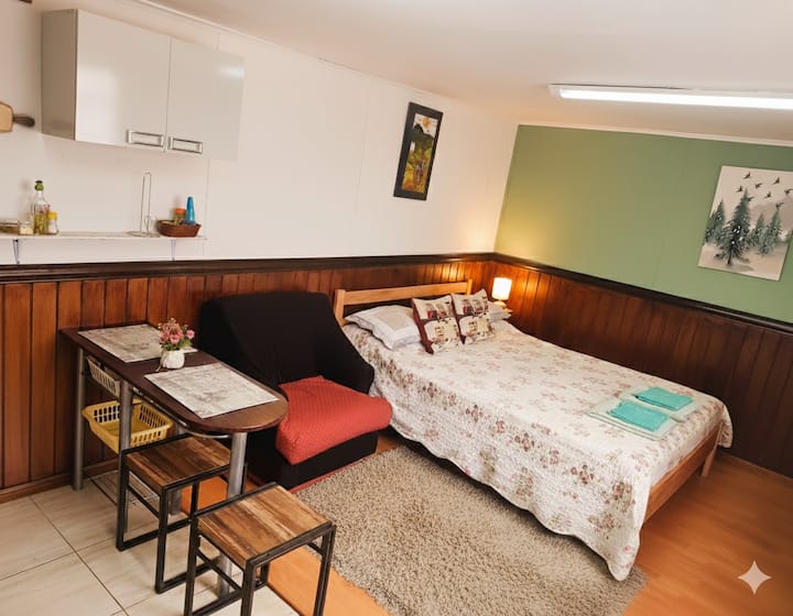 Departamento Interior Independiente - Punta Arenas