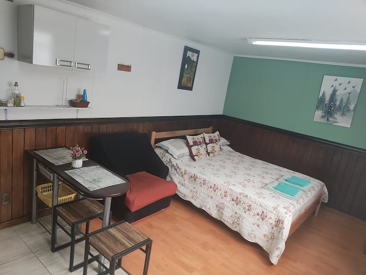 Departamento Interior Independiente - Punta Arenas