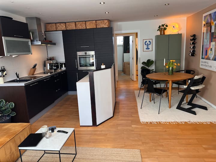 Spacious Apartment In Central Copenhagen - Copenhague