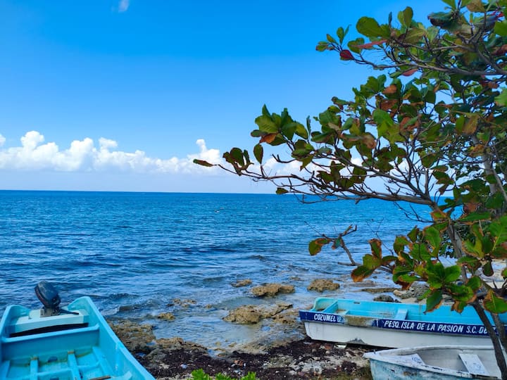Cozumel Al Alcance: Playa Y Centro Caminando - Cozumel