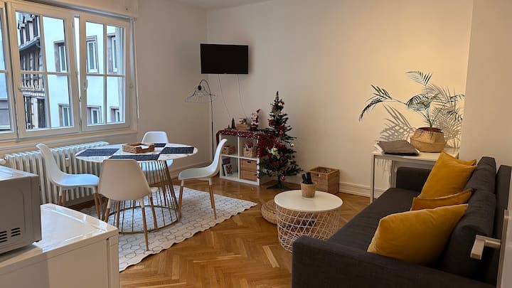 Appartement 2 Pièces Hyper Centre Strasbourg - Estrasburgo