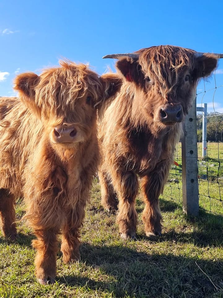 Twin River Ranch - The Main House And The Flat - Coffs Harbour, Australia