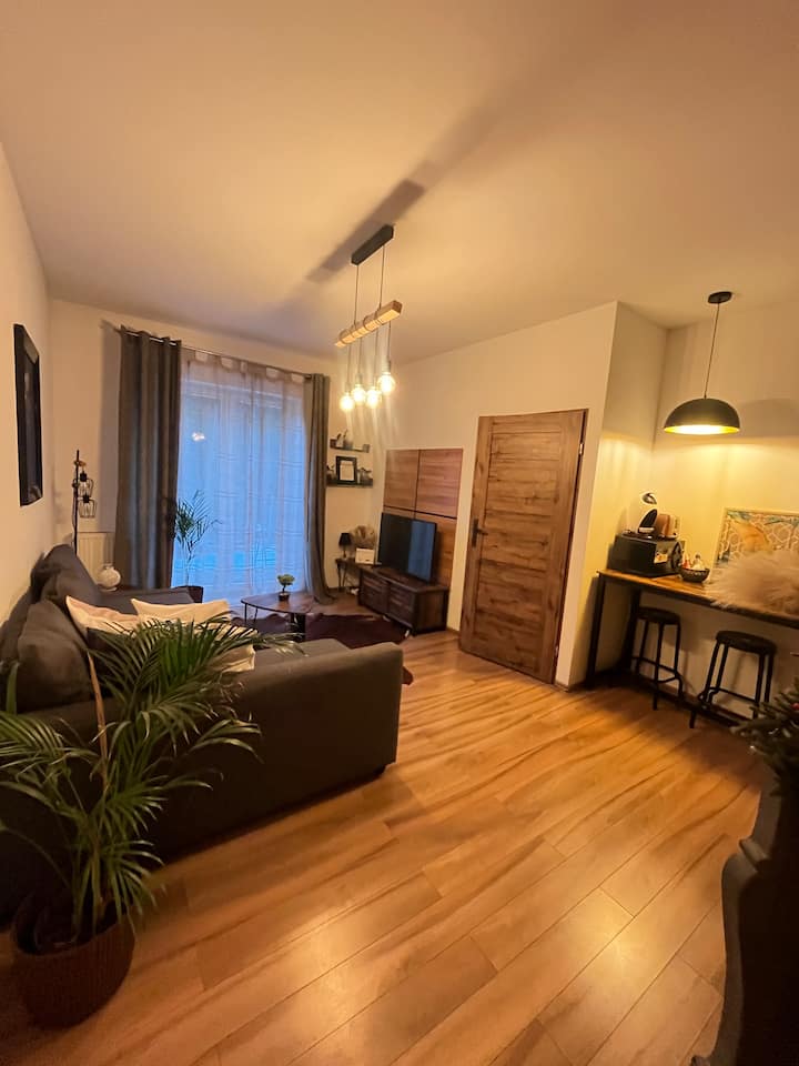 Apartament Pan Tadeusz Zabłockiego Bażantowo - Katowice