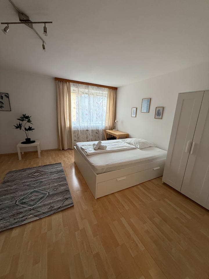 Nice & Clean Apartment Close To Hauptbahnhof #Wbs - Graz