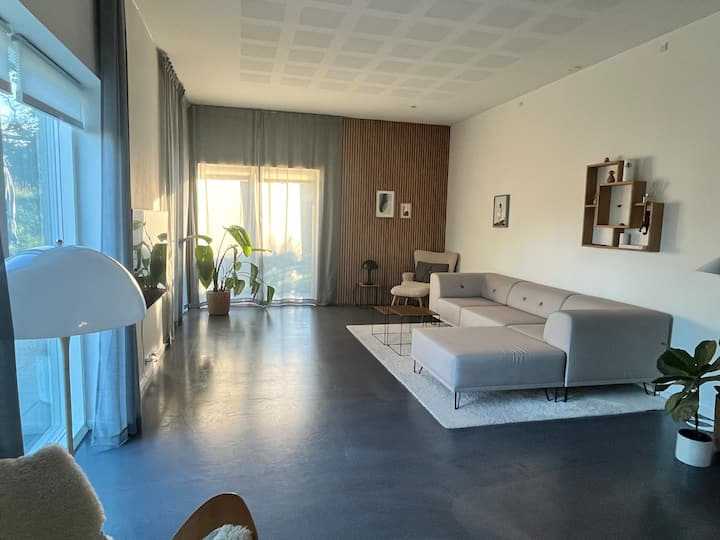 Luxurious Giant House With Gated Garden/playground - Danemark