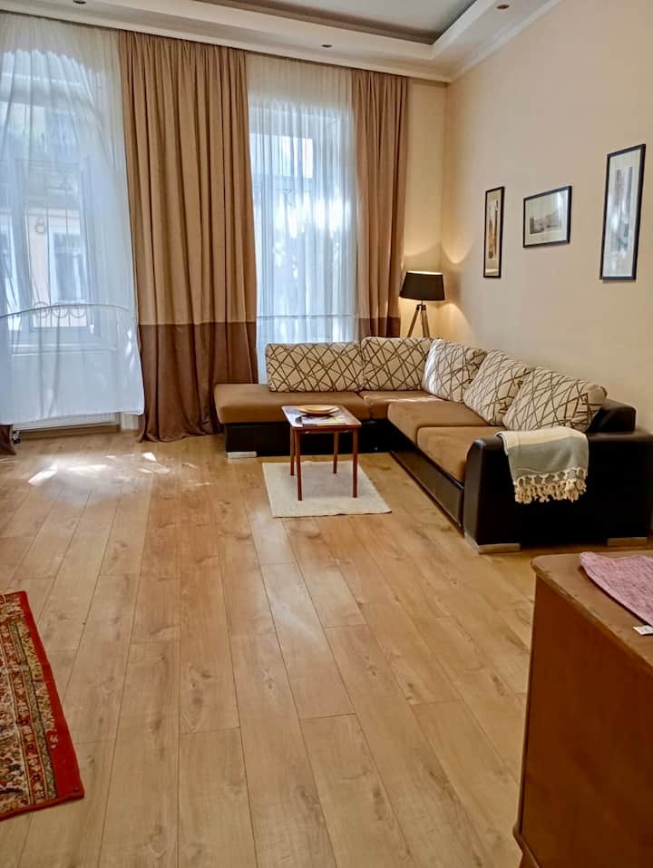 **Central** Great 2 Bedroom Big Apartment (78m2) - Tbilisi