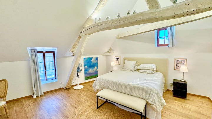 Maison Spuller Quartier Historique De Beaune - Beaune