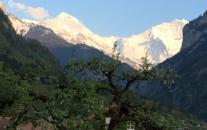 Wonderfull View Of The Famous Snow Peaks - Wilderswil