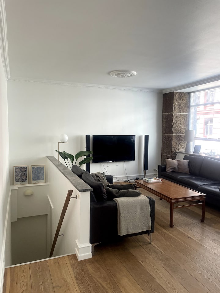 100 Squaremeter Apartment In Cph Centre - Copenhague