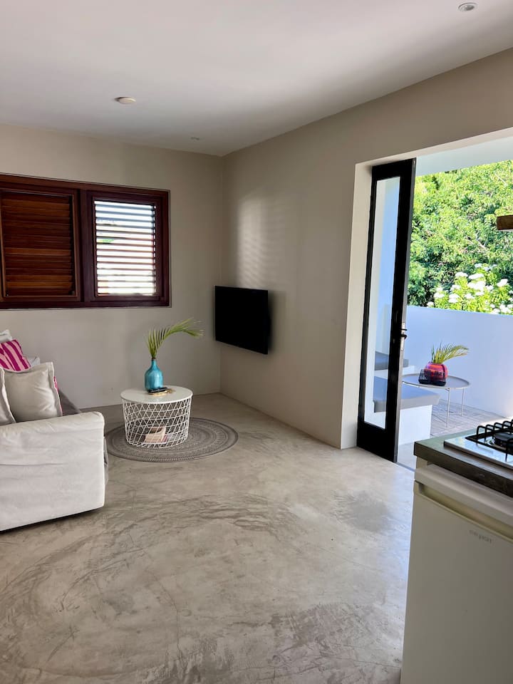 Flamingo Apartment- 1 Bedroom - Jan Thiel - Curaçao