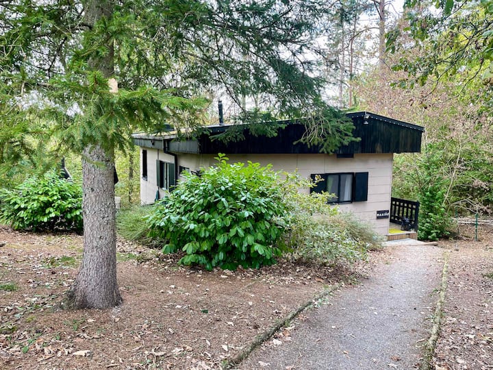 Dog-friendly Chalet For 23 People - Durbuy